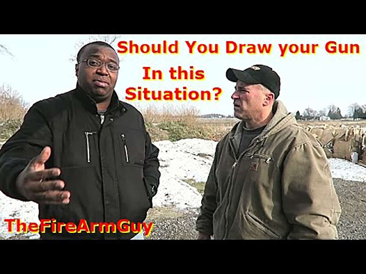 [SCENARIO] Two Unarmed Men Attack; Should You Draw Your Firearm ...