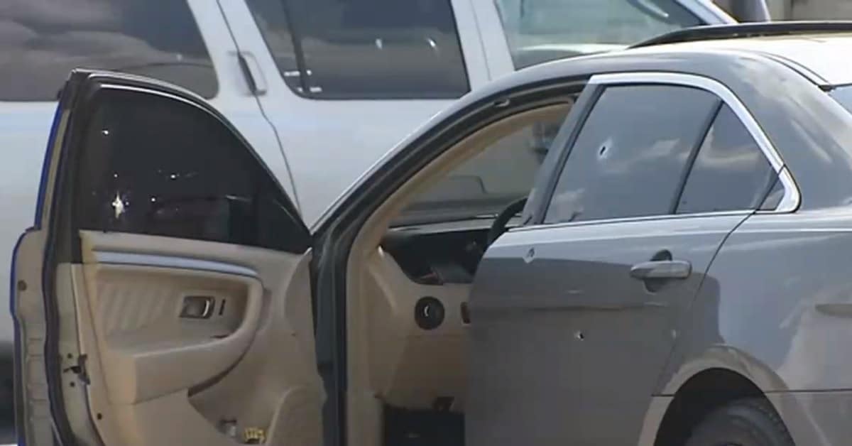 Full-On Firefight Erupts After Argument Over Temporary License Plate ...